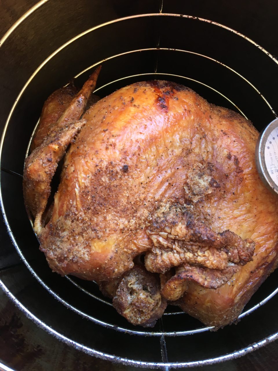 Char-Broil, Oil-Less Turkey Fryer Product Review - DA' STYLISH FOODIE