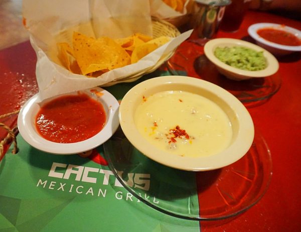 Cactus Mexican Grill - DA' STYLISH FOODIE