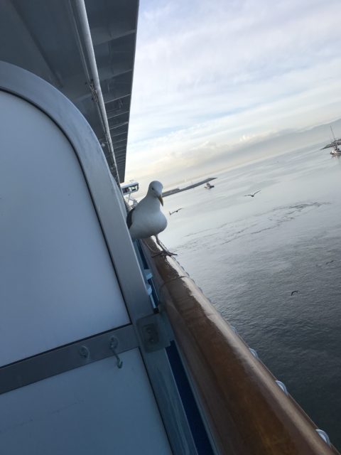 Ensenada Shore Excursion with Princess Cruises - DA' STYLISH FOODIE