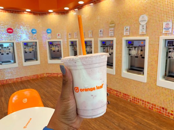 Orange Leaf Towne Lake | DA' STYLISH FOODIE