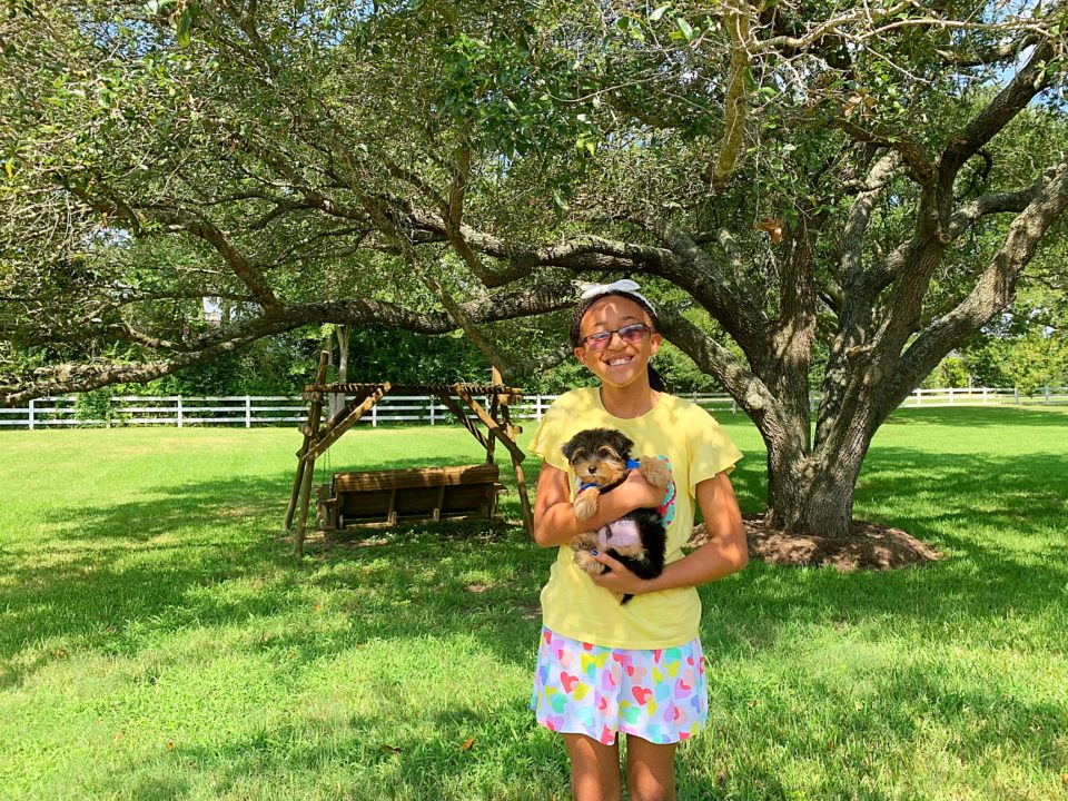 Meet Hershey | DA' STYLISH FOODIE