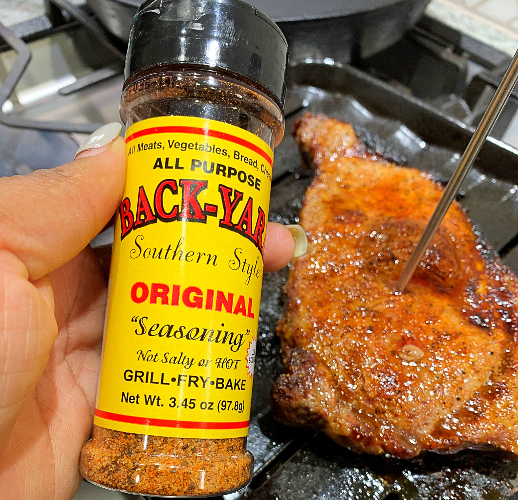 Back-yard Southern Style Seasoning - DA' STYLISH FOODIE