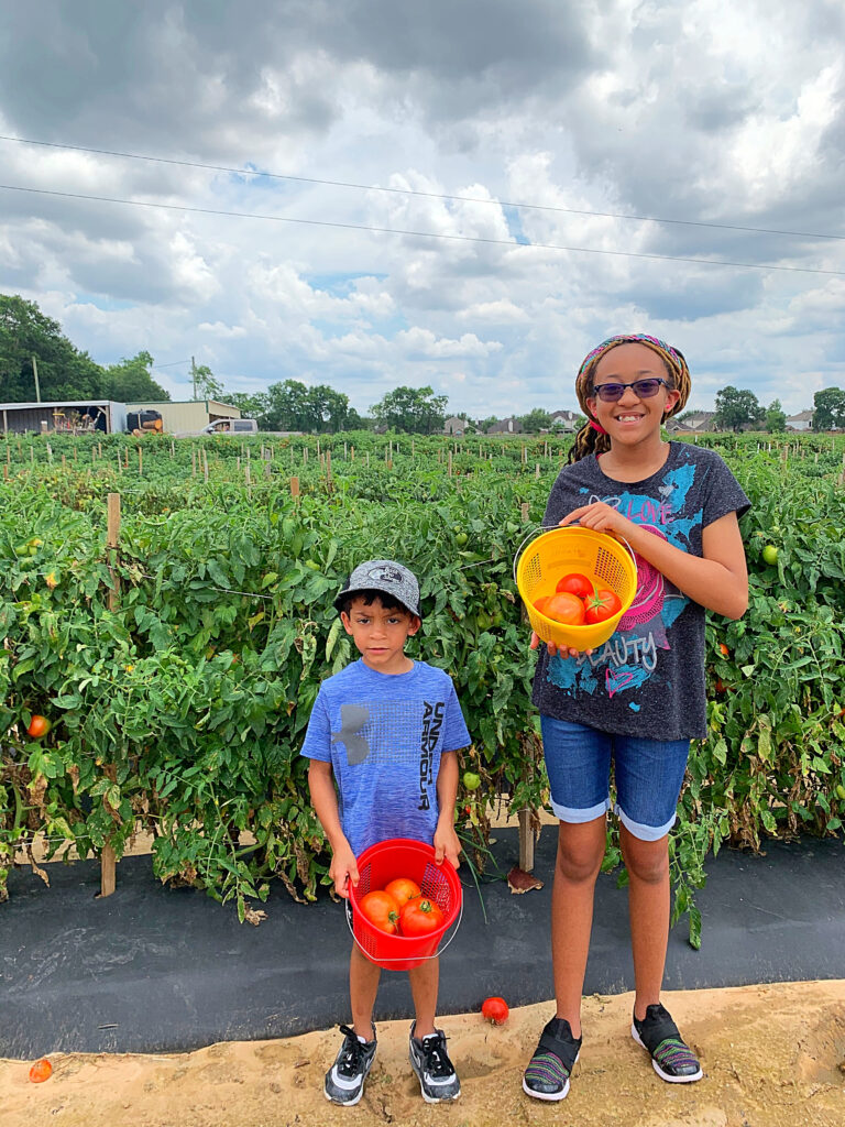 Atkinson Farms - DA' STYLISH FOODIE