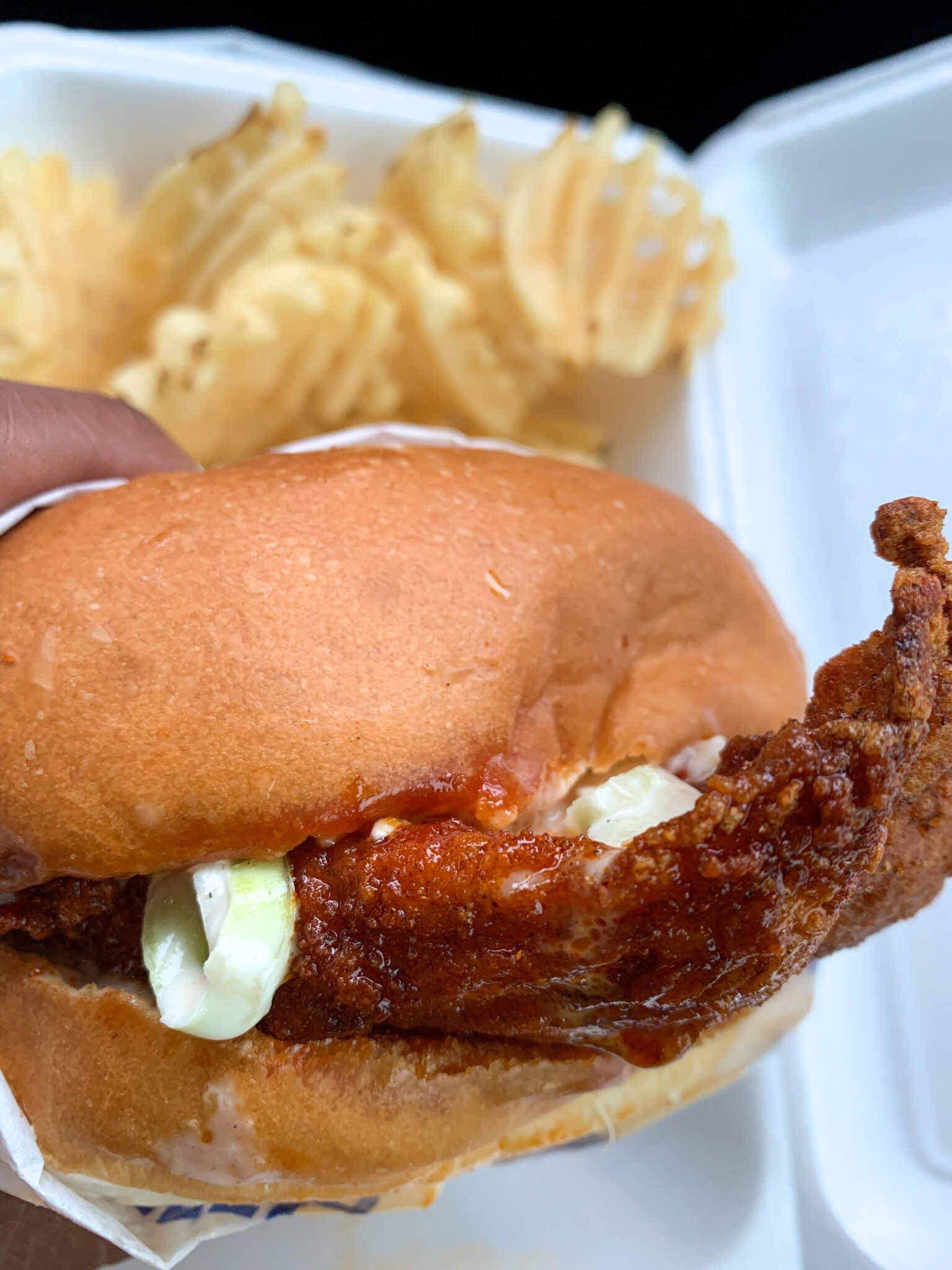 Howdy Hot Chicken - DA' STYLISH FOODIE