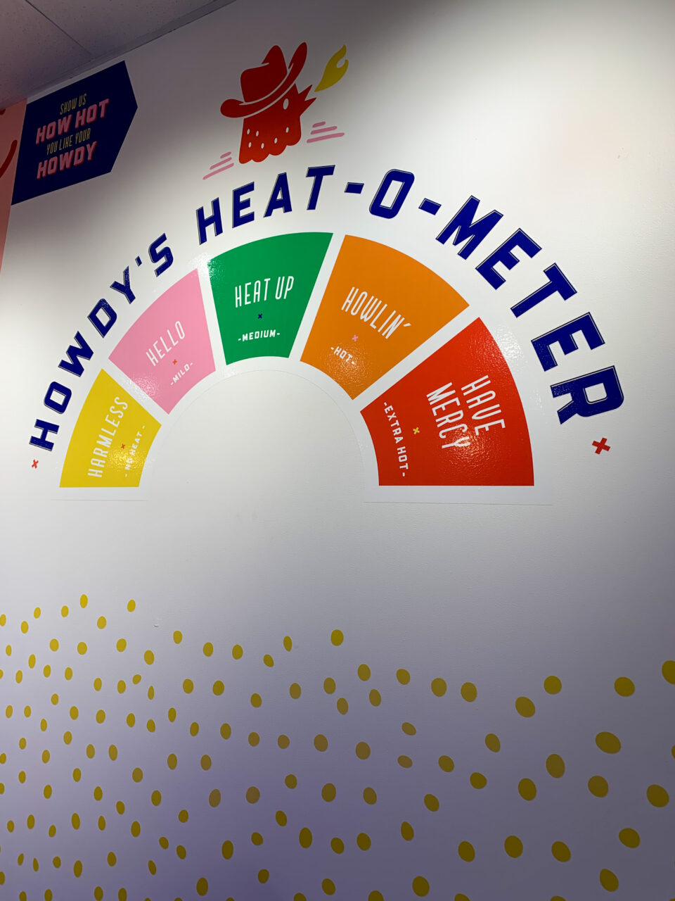 Howdy Hot Chicken - DA' STYLISH FOODIE