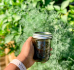 Dill Olive Oil - DA' STYLISH FOODIE